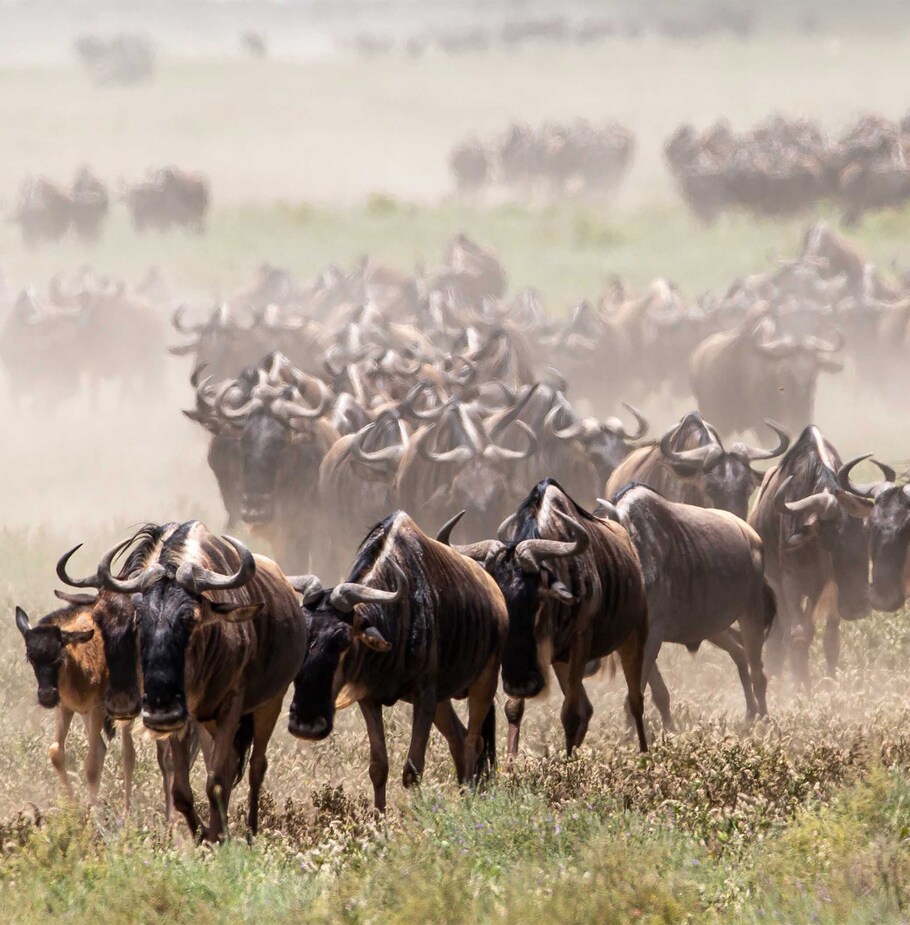 We Can’t Wait to Get to These Outposts in Africa